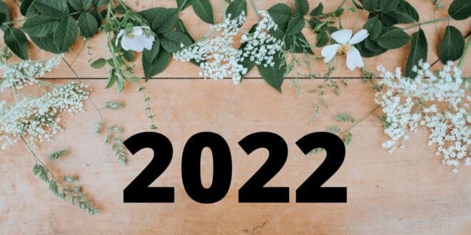 International Calendar Holidays 2023, Observance and Event Days